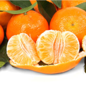Mandarin KG – Chinchilla Farmers Market