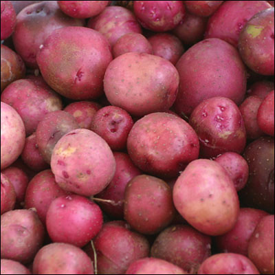 Red Chat potatoes kg – Chinchilla Farmers Market